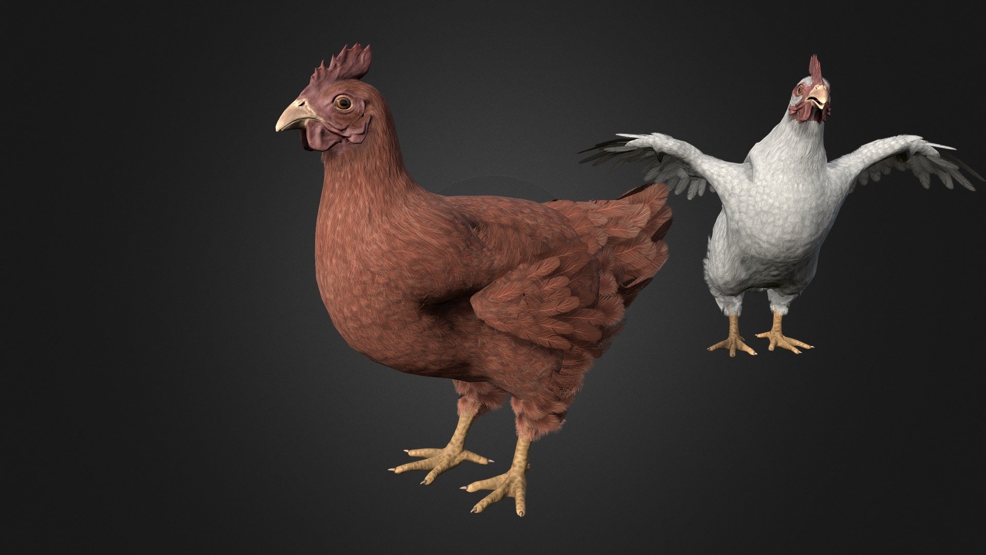 Chicken 2 - Buy Royalty Free 3D model by Rifat3D [cac7222] - Sketchfab ...