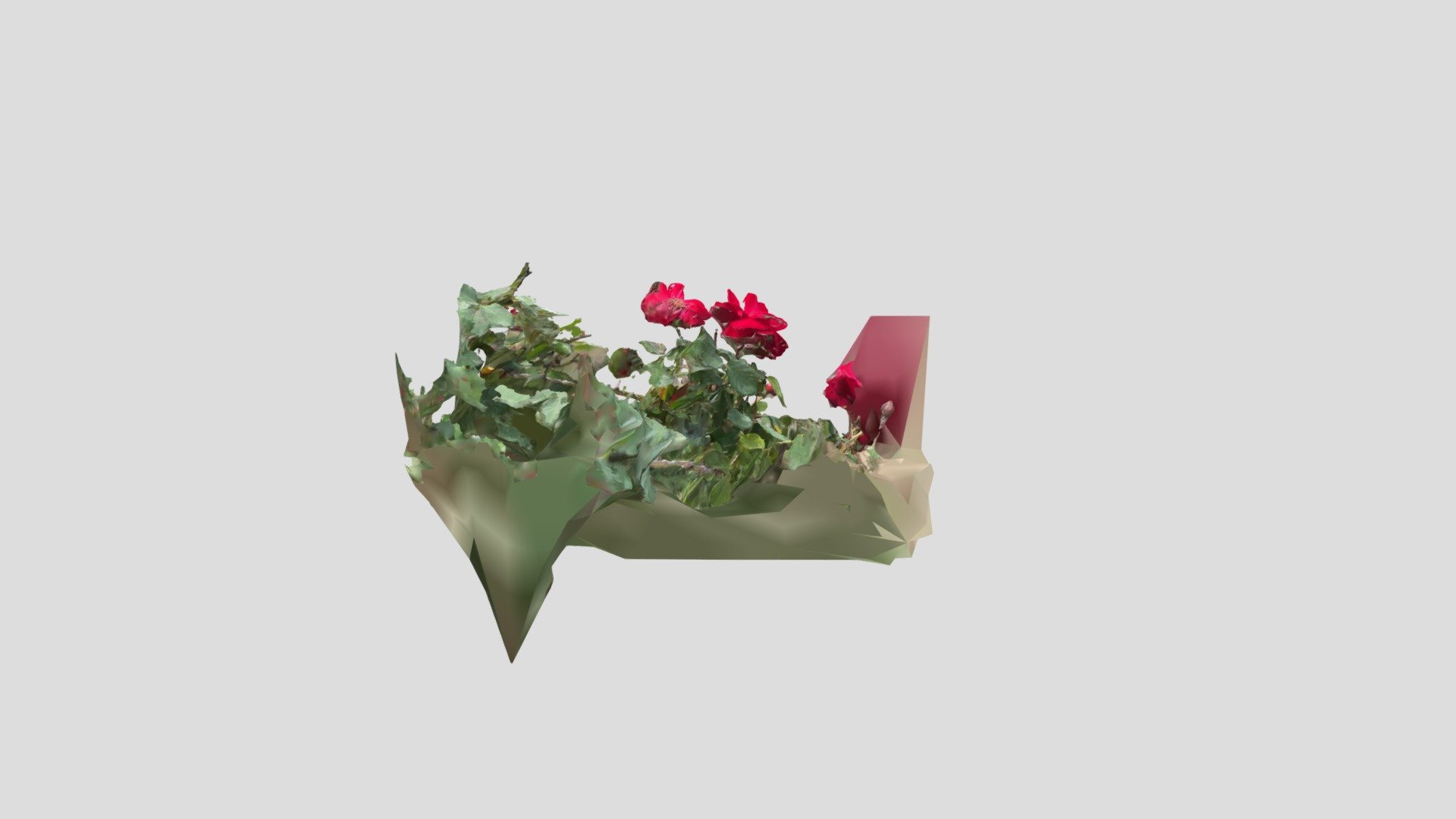 Flowers Red 03 - Download Free 3D model by mal007 [cacb262] - Sketchfab