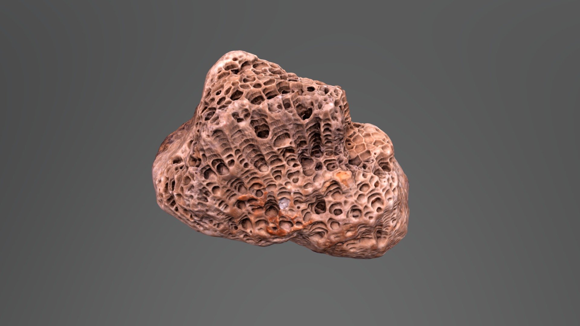 Ottawa River Crinoid (~1M) Photogrammetry - 3D model by svickers ...