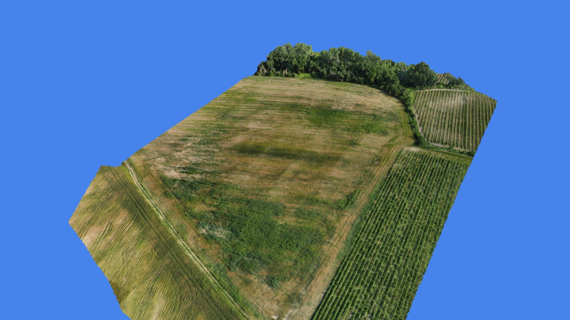 Rilievo Campo - 3D model by dimadrones [cad7599] - Sketchfab