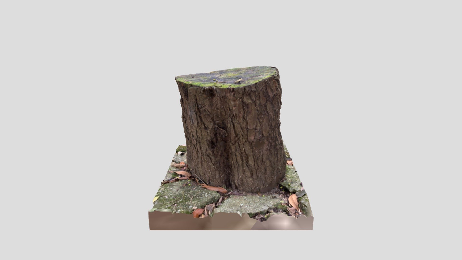 Trunk - Download Free 3D model by DamasUnreal [cad7cc1] - Sketchfab