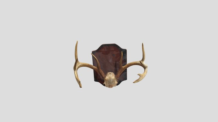 Antlers 3D models - Sketchfab