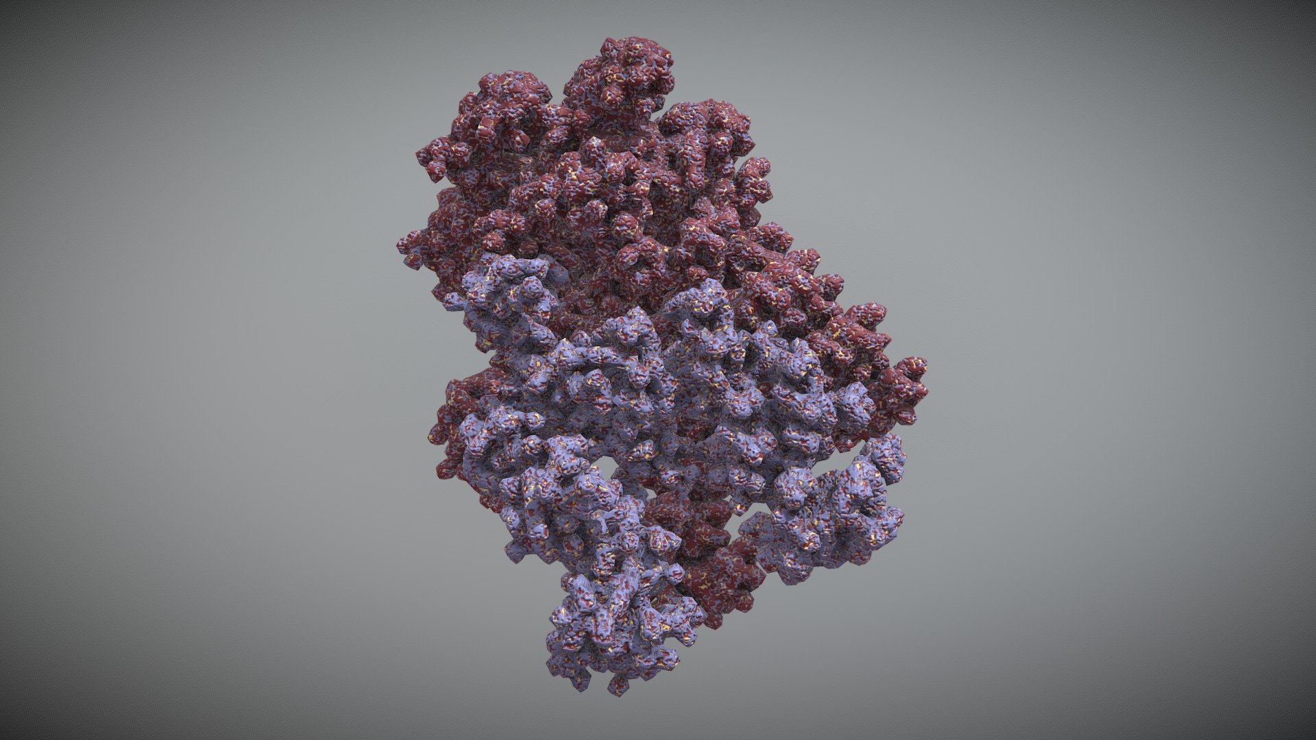 Ribosomes - Cell Organelles - 3D model by Vida Systems (@objects1 ...