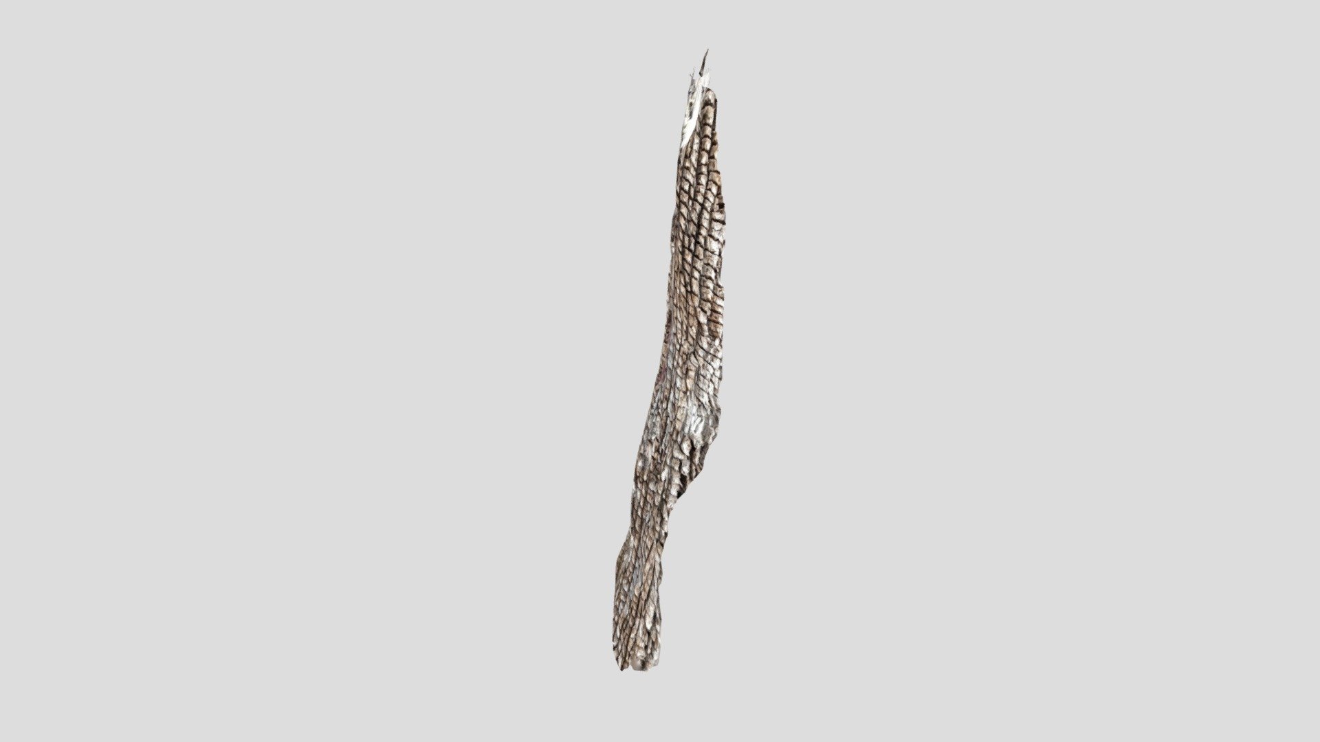 Alligator juniper bark - Download Free 3D model by GeoEpic [caef462 ...