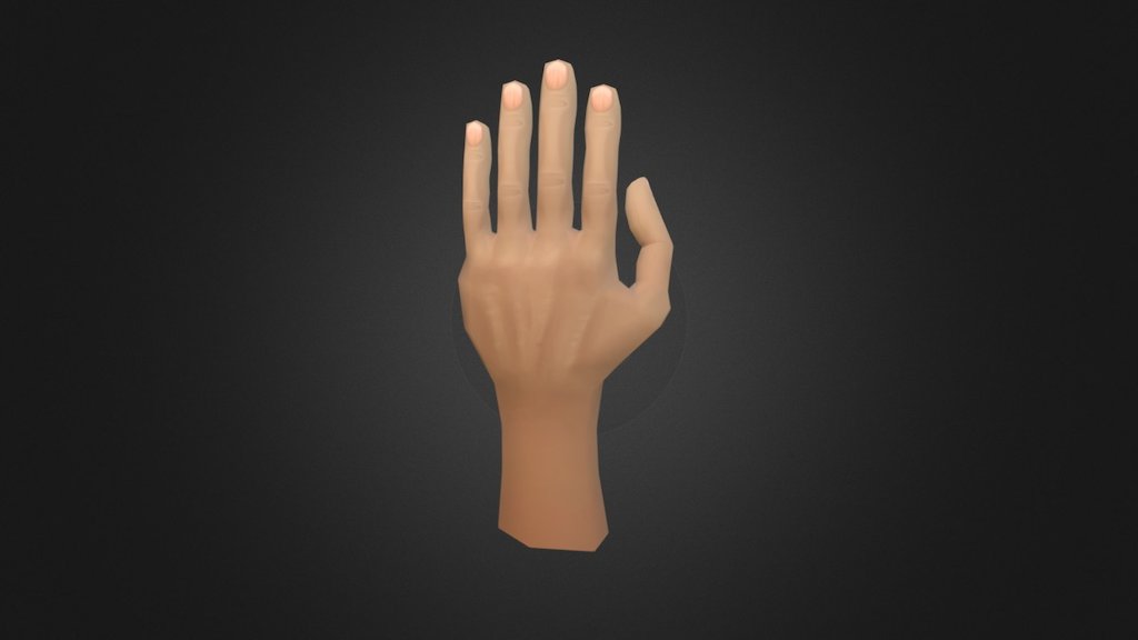 Hand for VR Demo - 3D model by Graham (@graham3d) [cafd02b] - Sketchfab