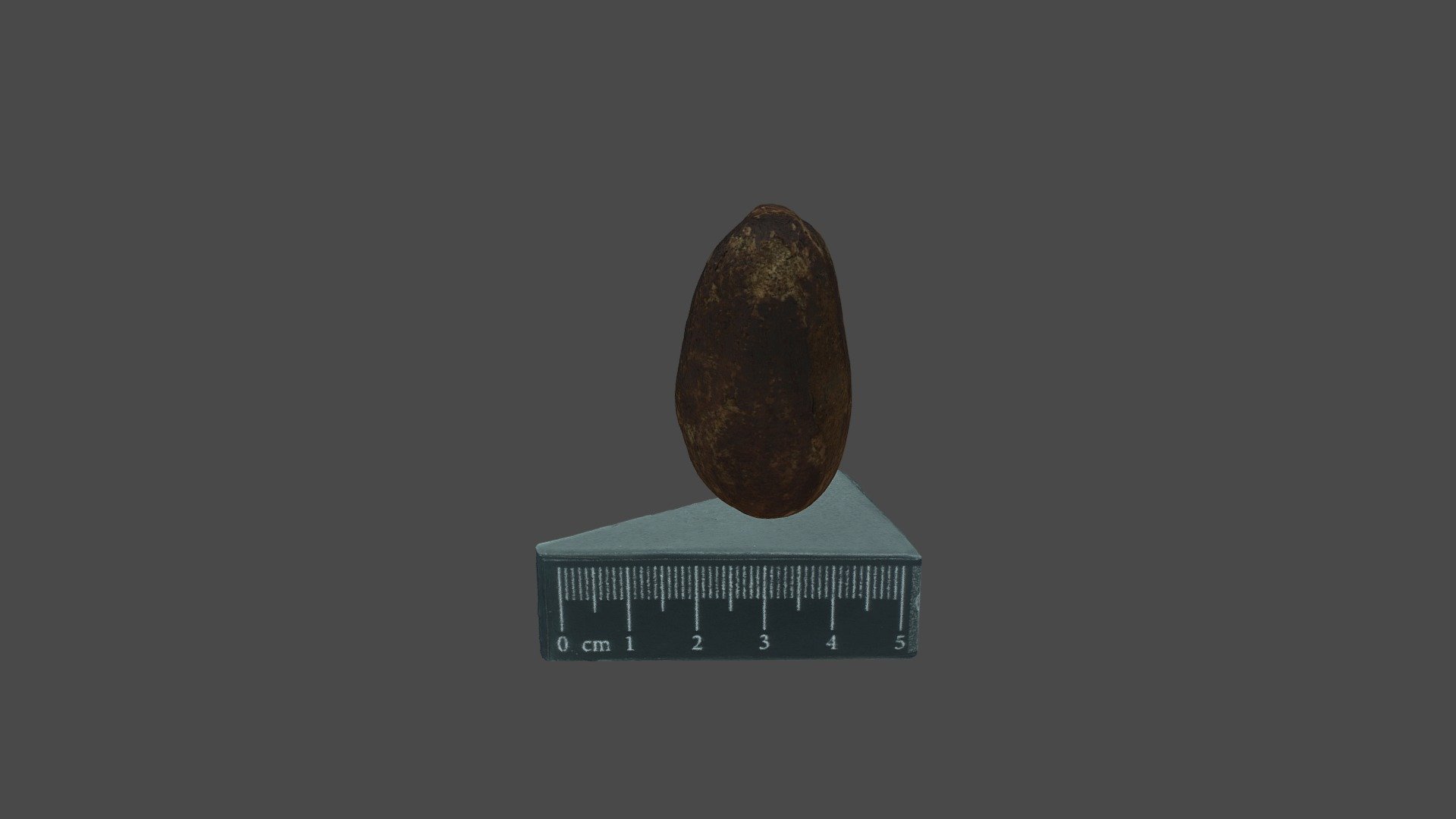 ลูกจันทน์ scale bar - Download Free 3D model by 65201101047 [cb0708c ...