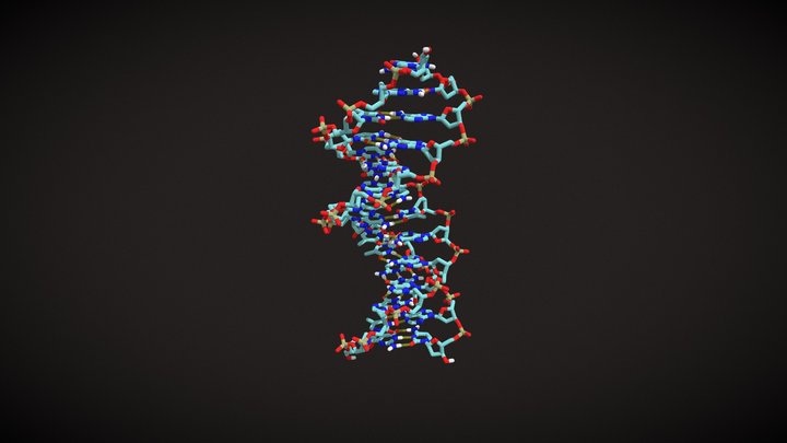 Double Helix 3d Model