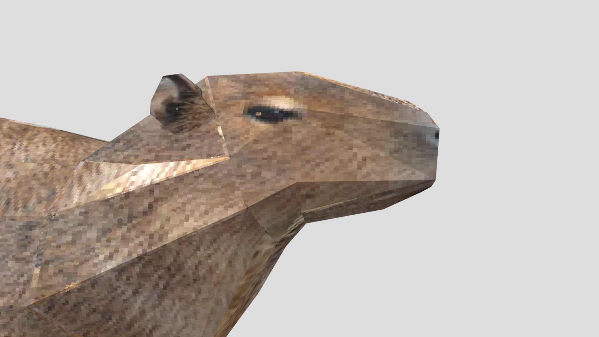 capybara - Download Free 3D model by OgYrEchNaA_PoPkA [cb16670] - Sketchfab
