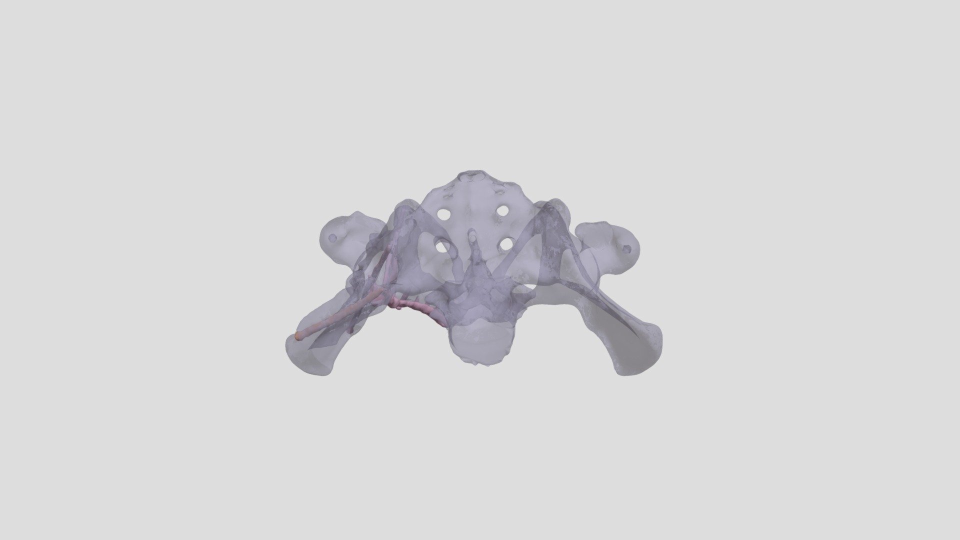 SOMETHING HORRIBLE HAS HAPPENED - Download Free 3D model by _jamwiches ...