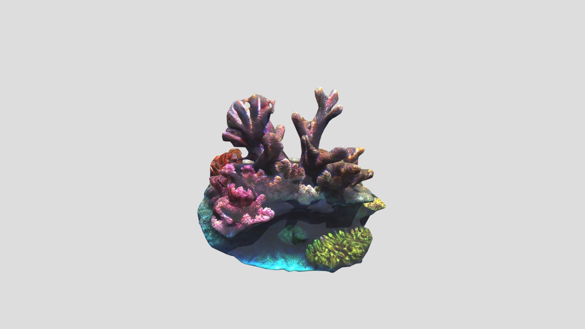 Coral Reef 3 L - Download Free 3D model by stefanorivera [cb1f799 ...