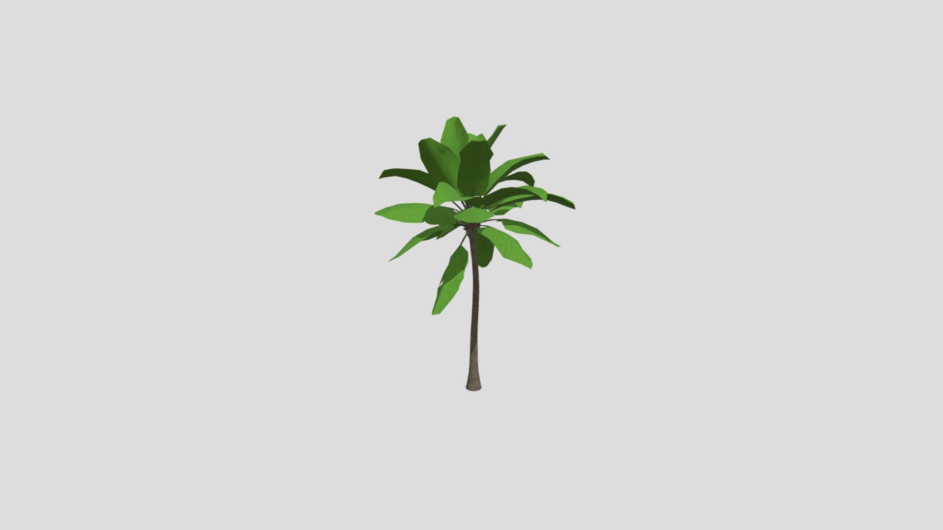 Coconut Tree 2 - Download Free 3D model by LazySakana [cb2102e] - Sketchfab