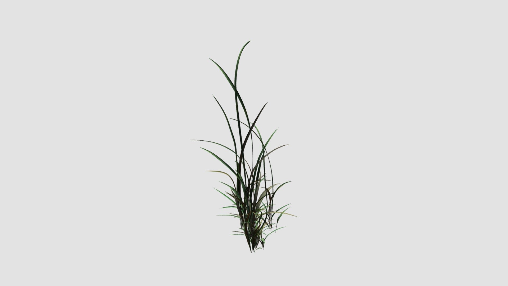 simple grass - Buy Royalty Free 3D model by Evermotion [cb23bc3 ...