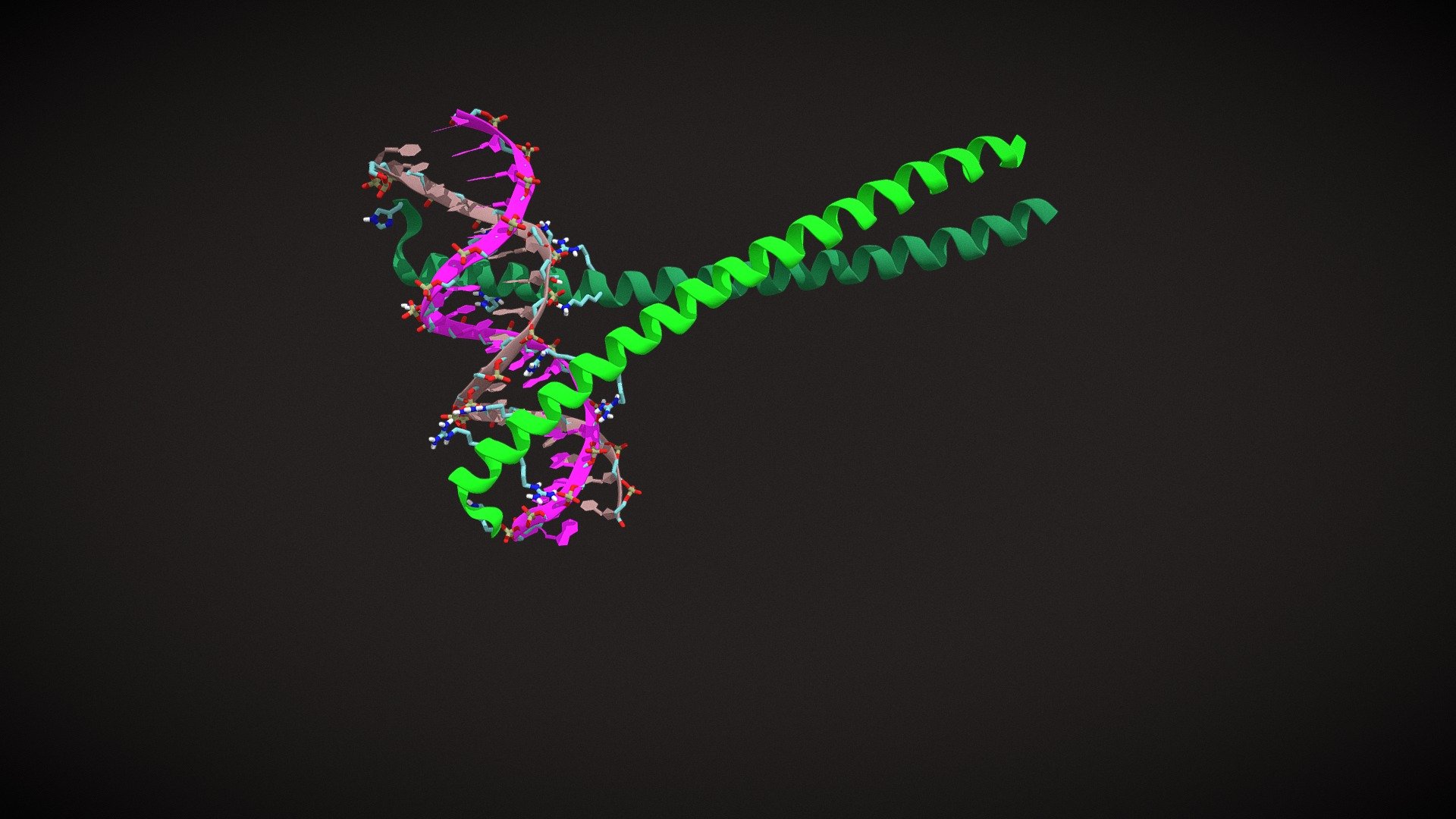 DNA - Protein Complex, nonspecific interactions - Download Free 3D ...