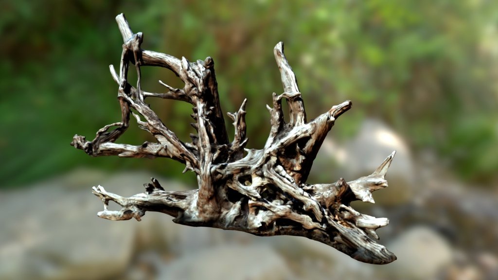 Mansfield Pa Root System - 3D model by Eve Bat Studios (@EveBatStudios ...