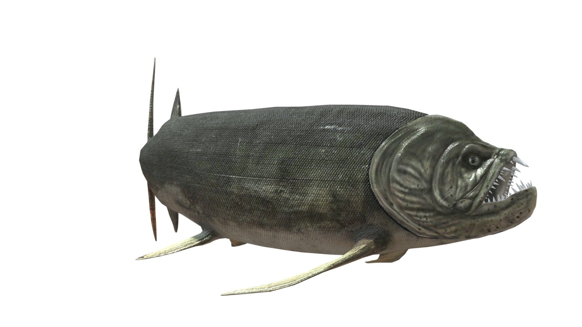 Xiphactinus V3 - 3D model by aloxr [cb3a571] - Sketchfab
