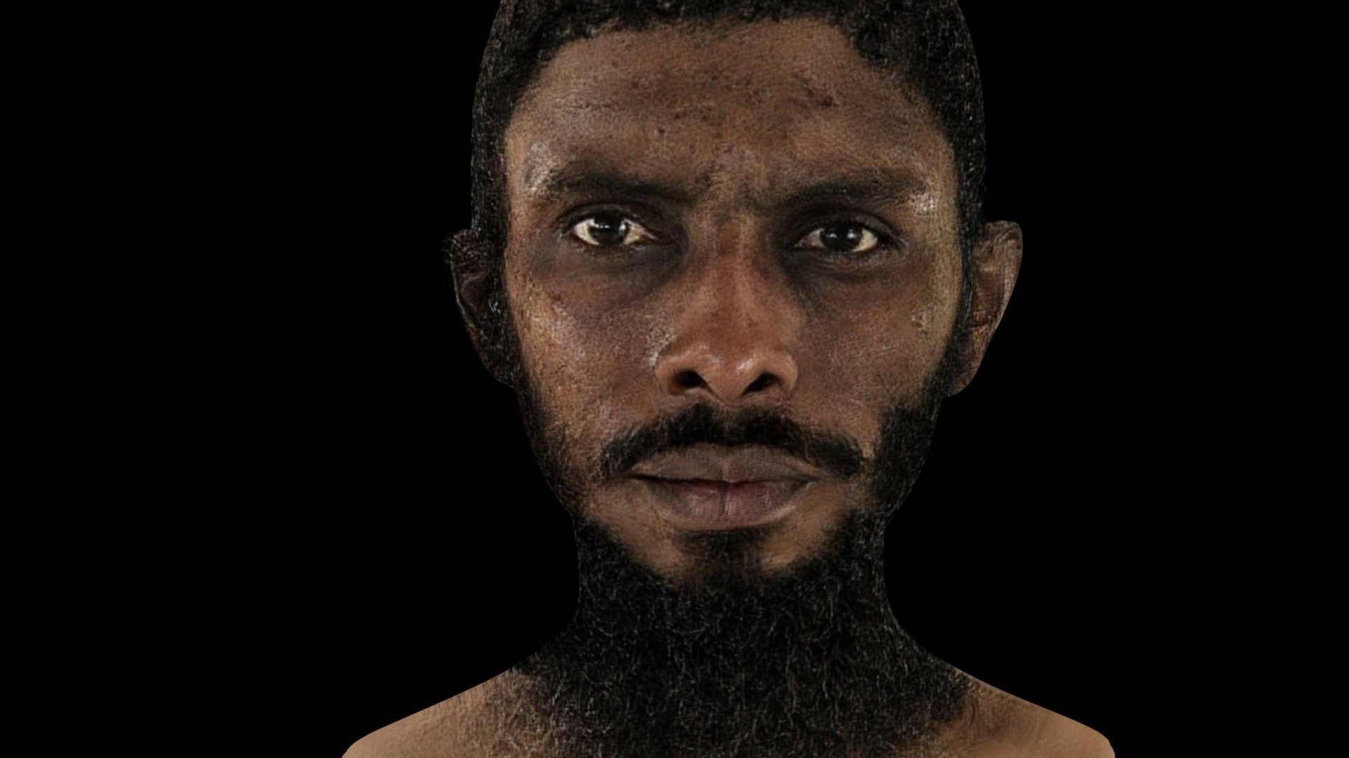 Human Dignity Collection | www.acuteline.com - Download Free 3D model ...