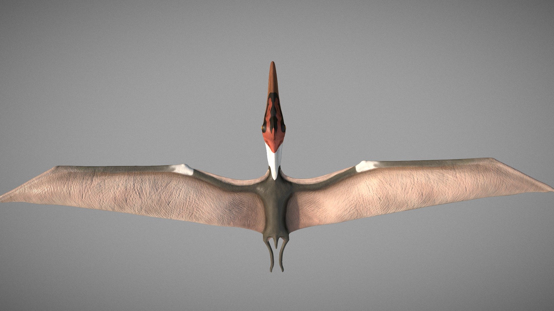 Pterosaurs - 3D model by sad_pirate [cb3e53c] - Sketchfab