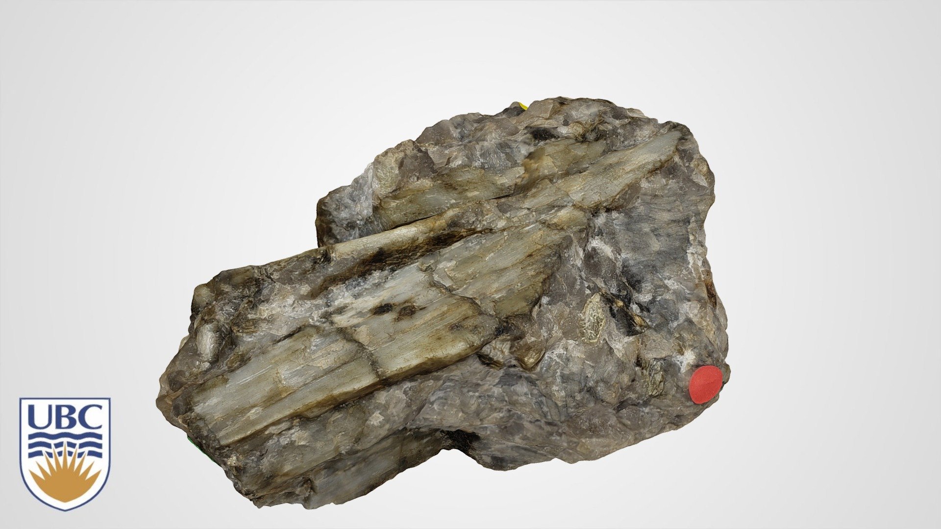26 (pegmatite) - 3D model by Nichole Moerhuis (UBC Geology) (@Moerhuis ...
