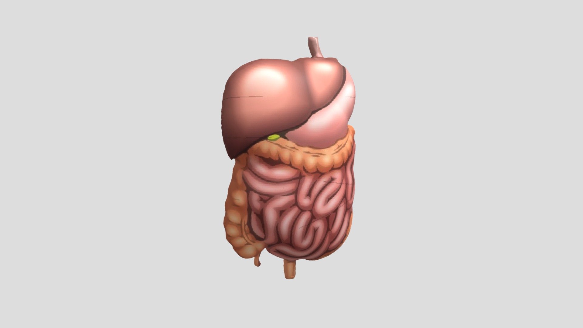Reyhan RN - Siswa - 3D model by reyhanrubbynugraha [cb52250] - Sketchfab