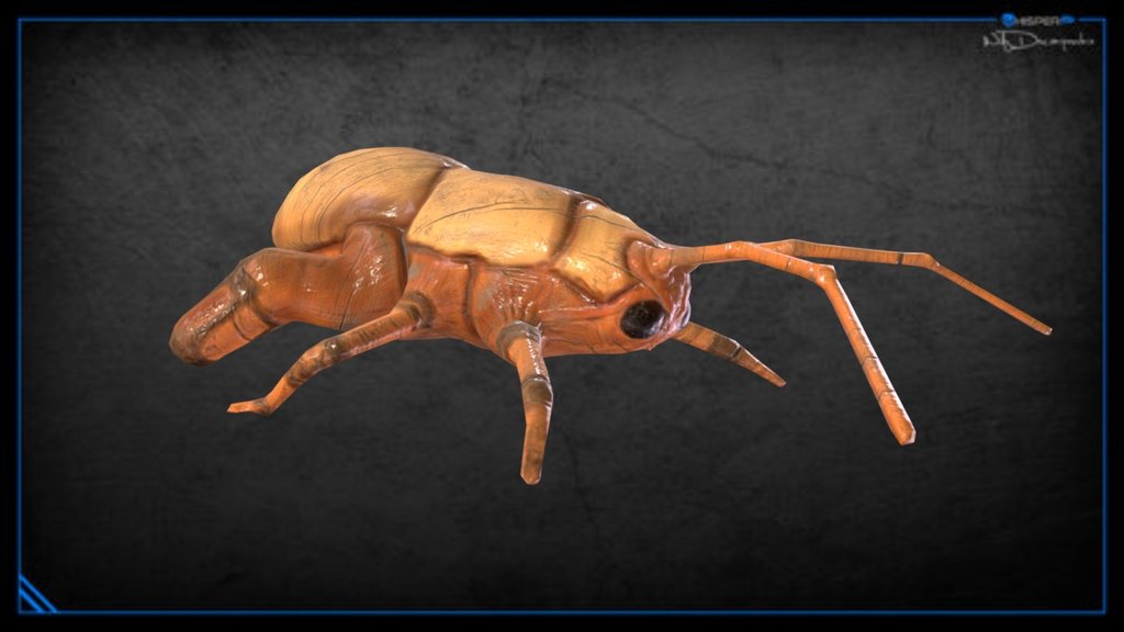 Wooden Insect - Download Free 3D model by Willy Decarpentrie (@skudgee ...