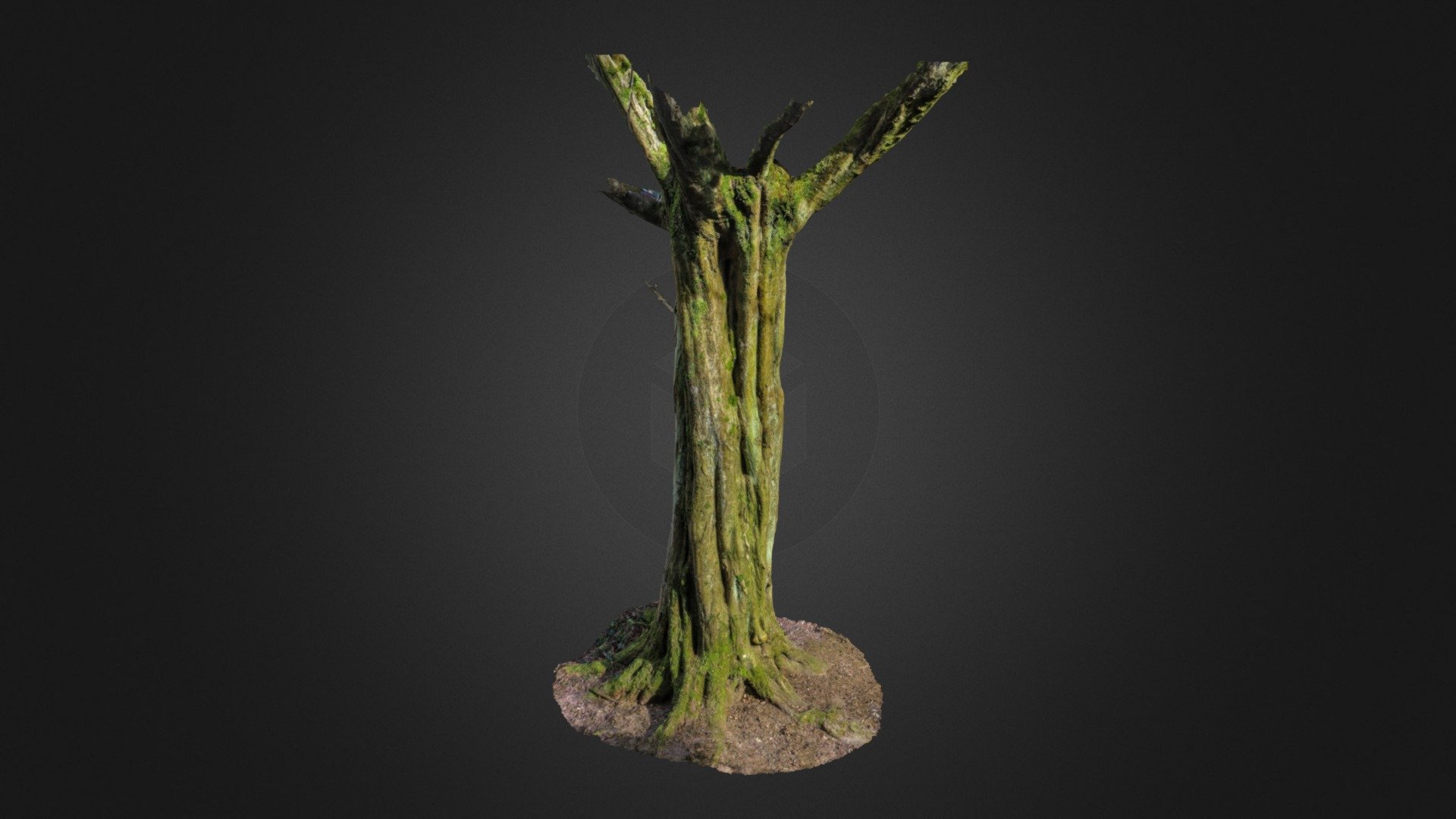 Twisted tree - Buy Royalty Free 3D model by SenYul [cb57a6d ...
