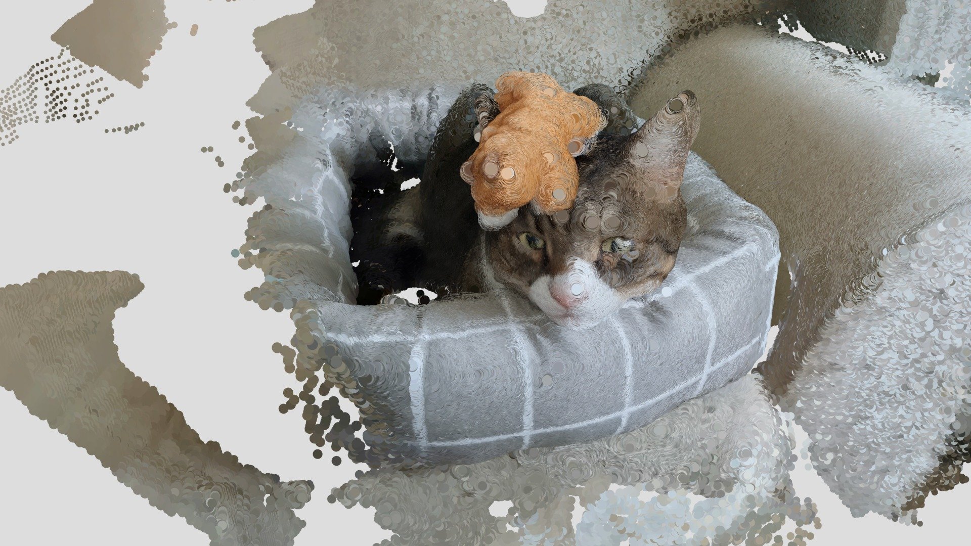 cat_5_point_cloud - 3D model by dmk (@.-_) [cb584c7] - Sketchfab