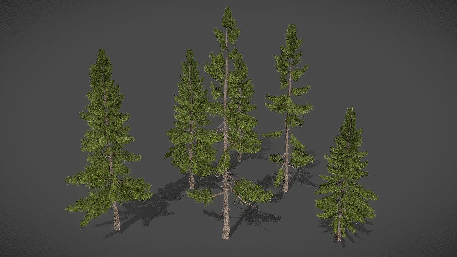 spruce tree - 3D model by Realtime (@gipapatank) [cb5e120] - Sketchfab