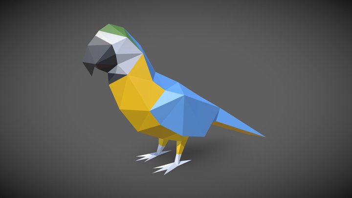Macaw 3D models - Sketchfab