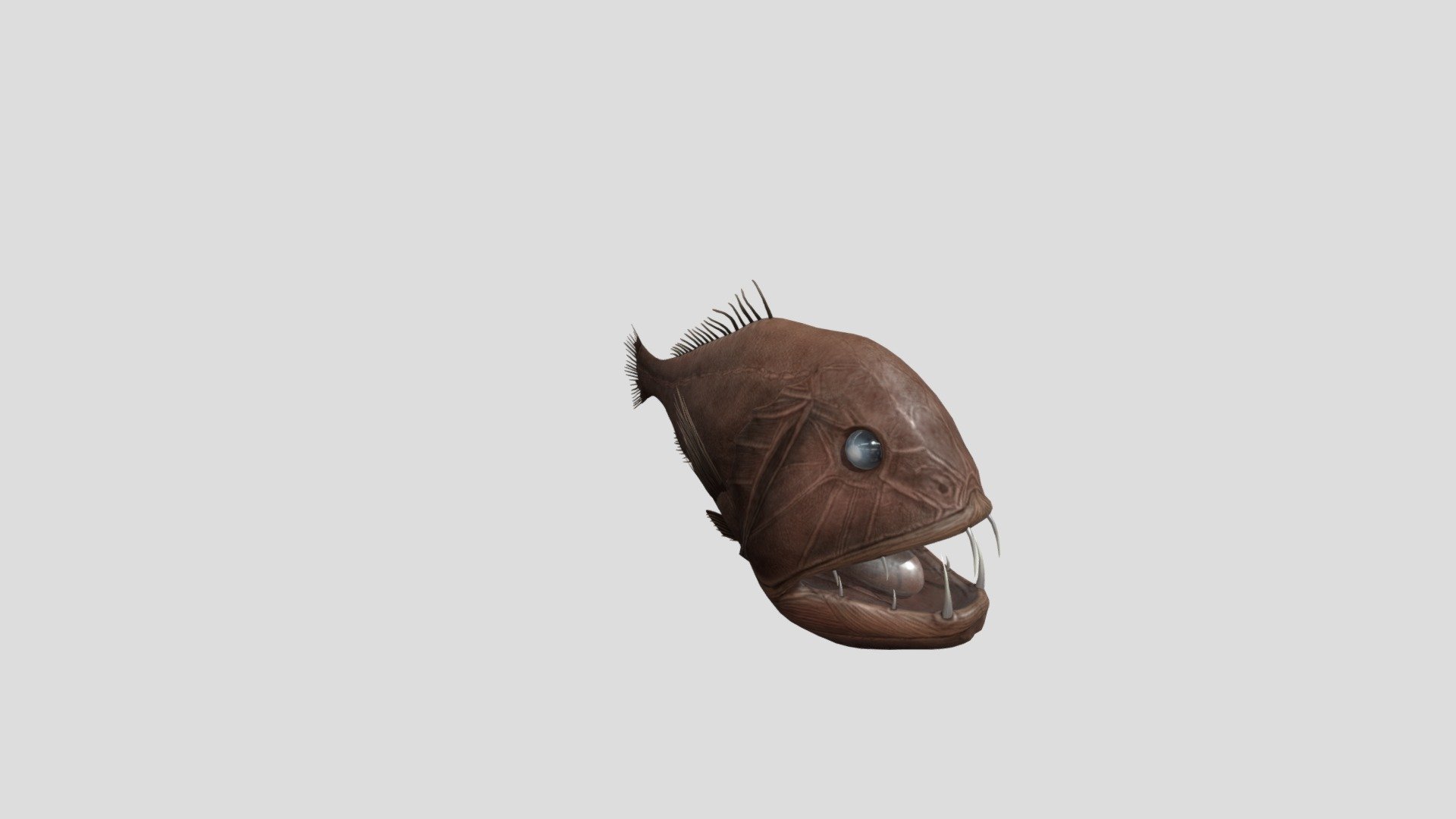fish - 3D model by christieZhou [cb6f23a] - Sketchfab