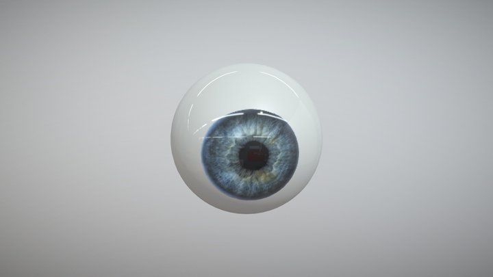 Olho 3D models - Sketchfab