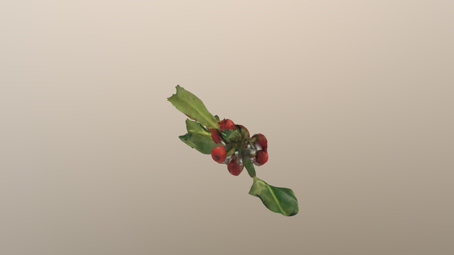 Holly - 3D model by theairinnvenice [cb73b20] - Sketchfab