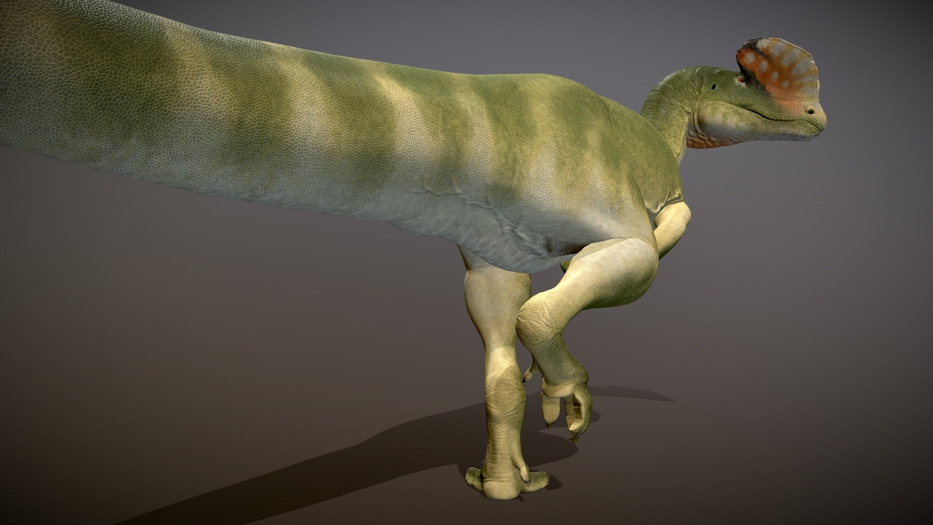Dilophosaurus Wetherilli (Jungle skin) - 3D model by Jay Qui (@JayQui ...