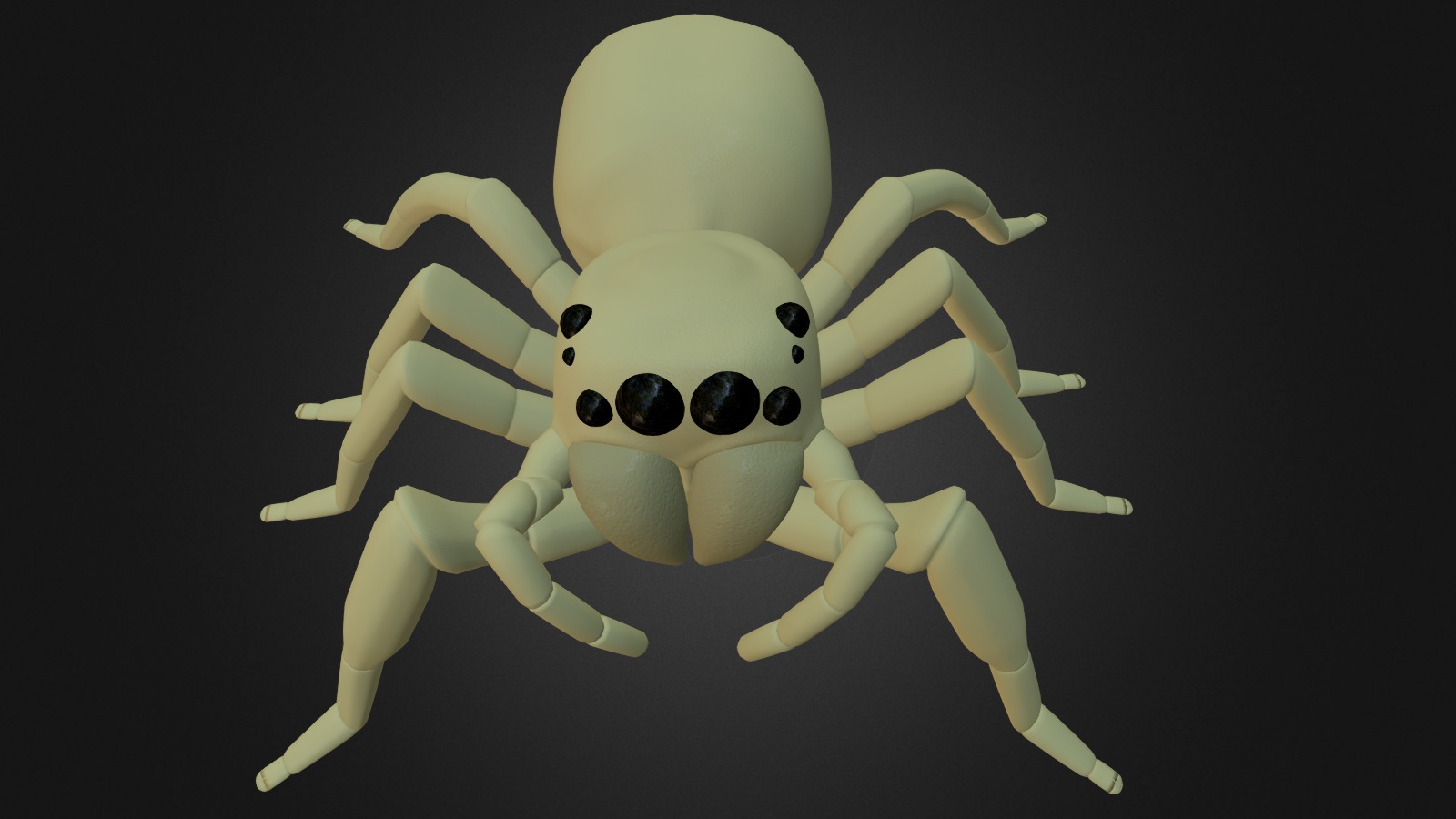 Jumping Spider [No Textures] - 3D model by Alex Gimson (@alexgimson ...
