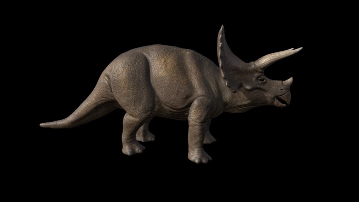 Dinosaur 3D models - Sketchfab