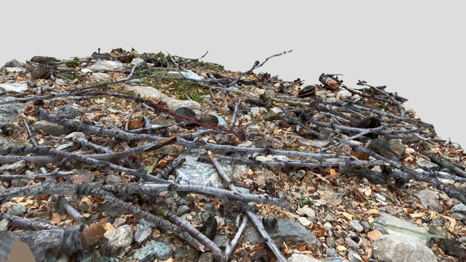 Ground patch with branches and almonds - Download Free 3D model by ...
