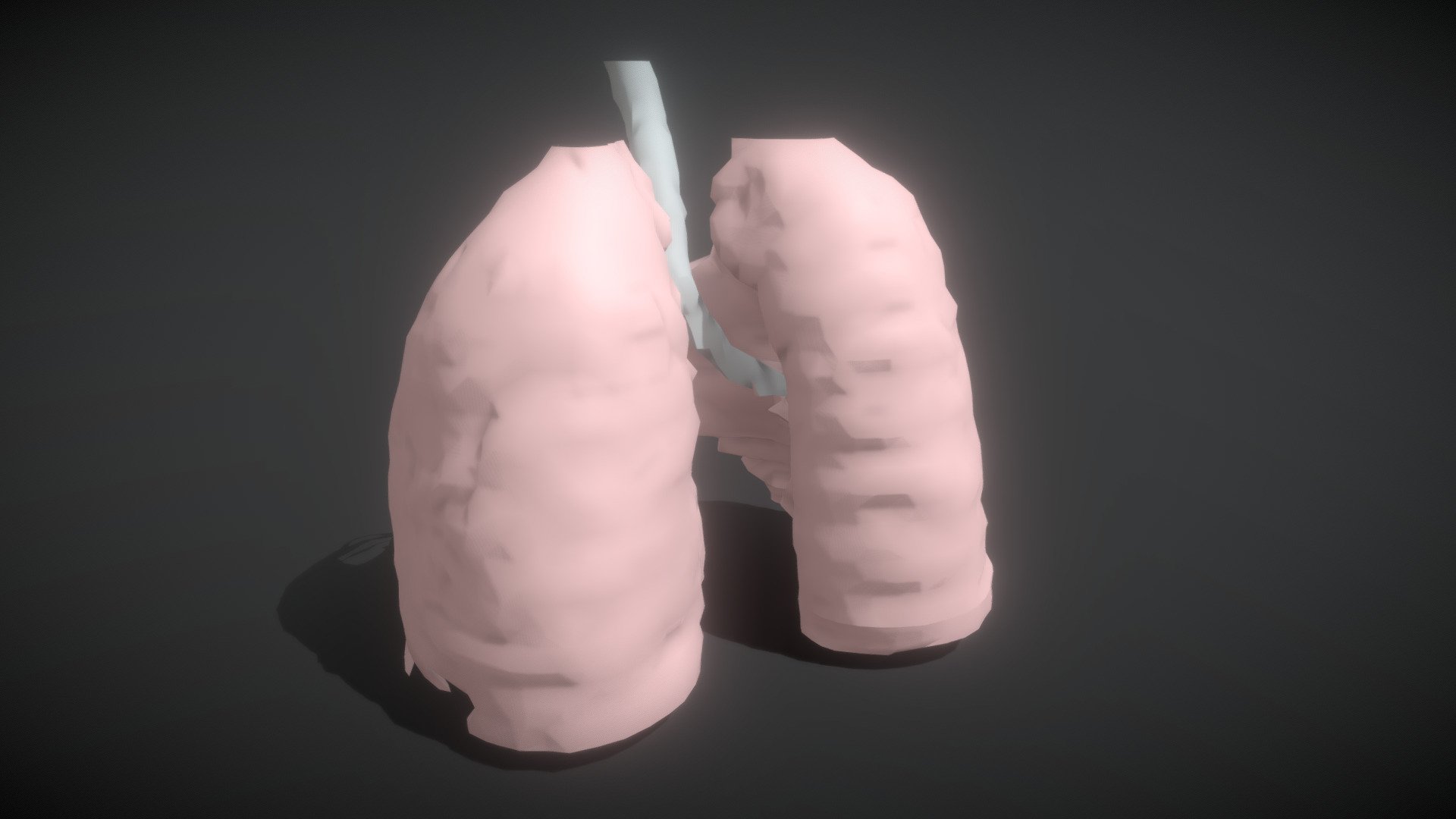Human Lung 3D - Download Free 3D model by 3D EduTex (@Yasama) [cb992e6] - Sketchfab