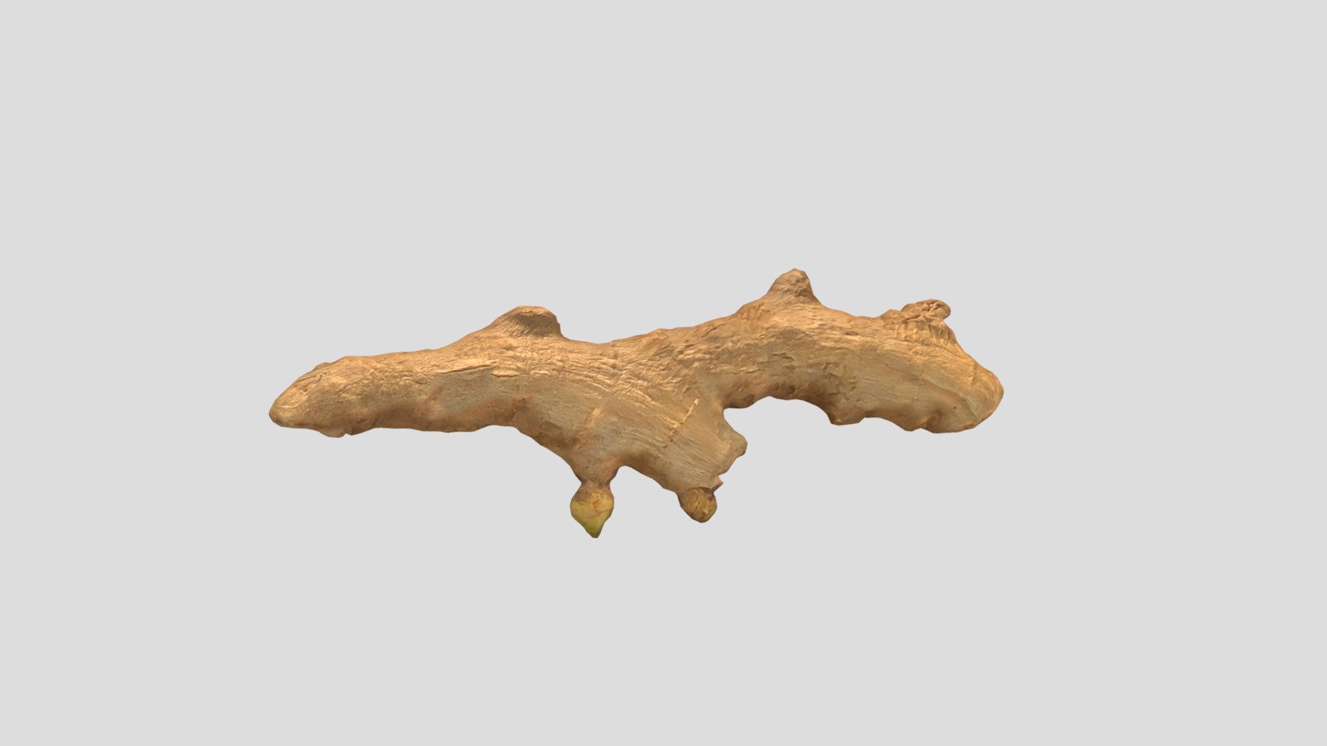 Ginger Low Poly - Download Free 3D model by lil_bentley [cb9ed3a ...