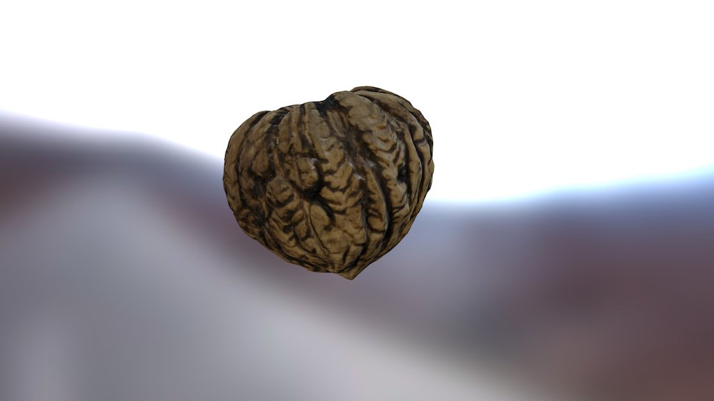 Seed - Download Free 3D model by Mauricio Fernández Medina (@foofighter ...