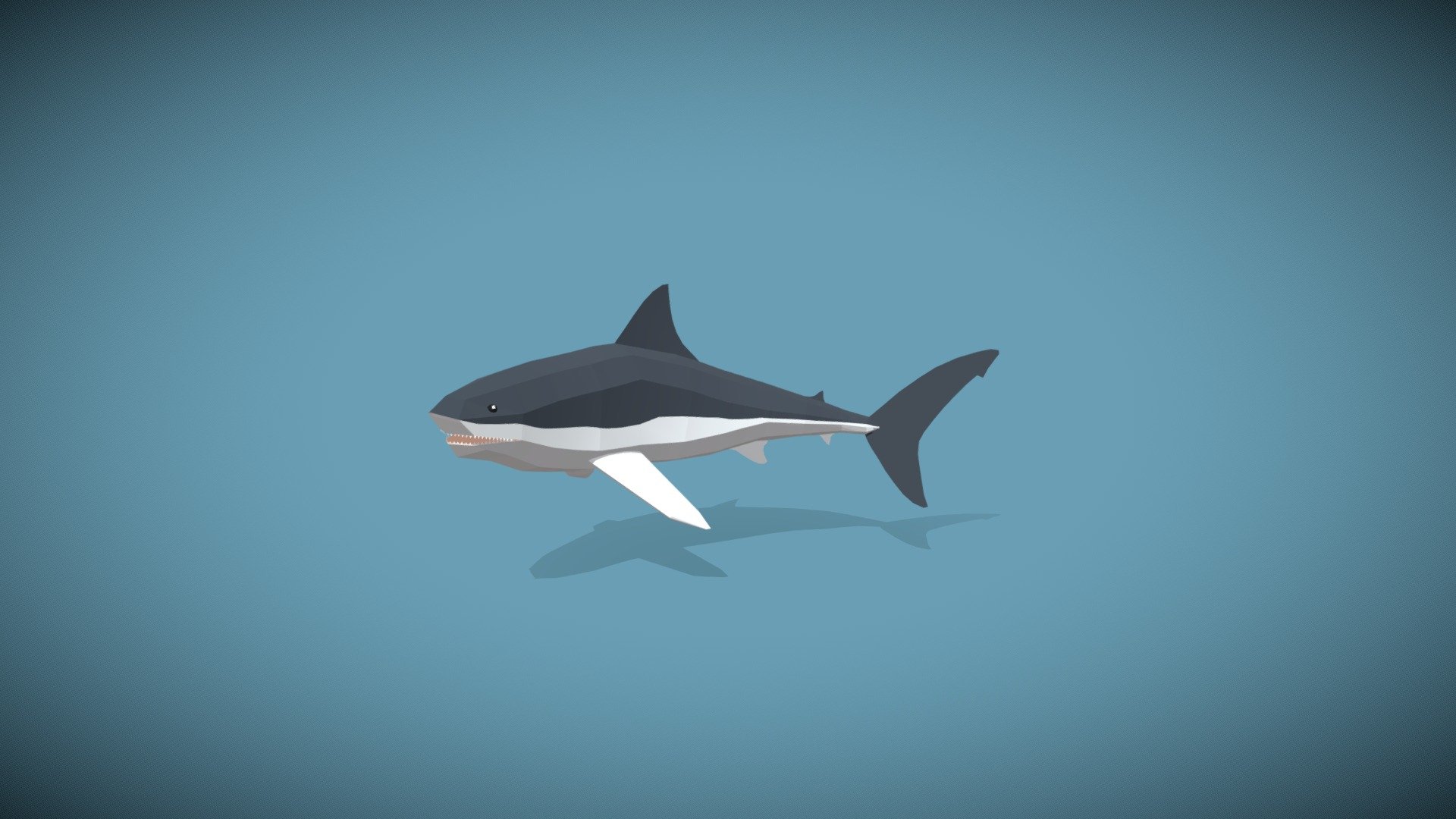 Low Poly Megalodon - 3D model by SubSpooky [cba3cc9] - Sketchfab