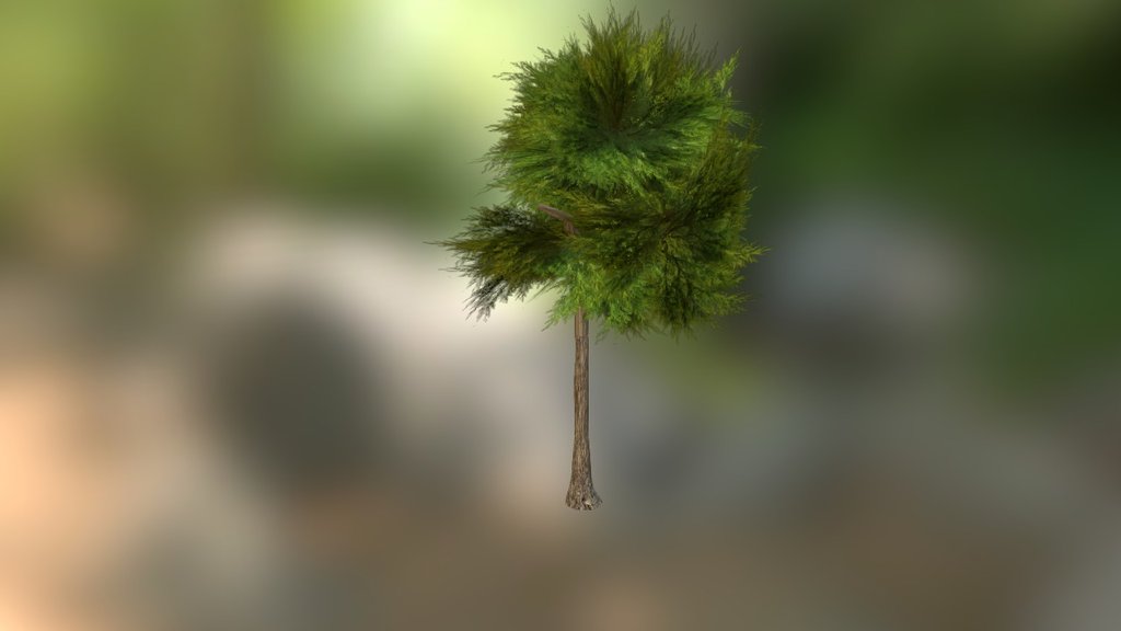 A Tree - 3D model by lukedower [cba665d] - Sketchfab