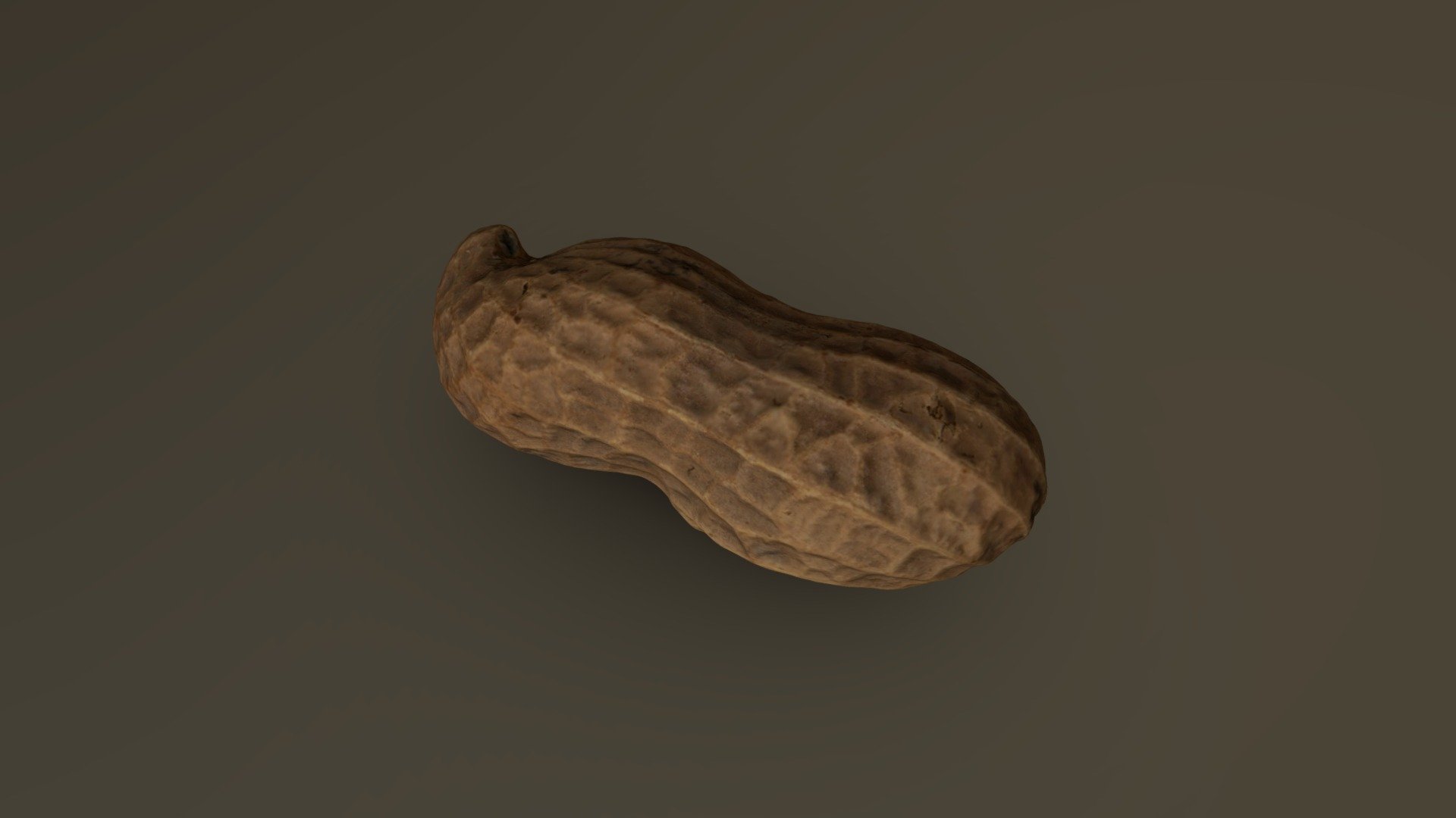 Peanut Pod 02 - Buy Royalty Free 3D model by CemAygun [cba9284 ...