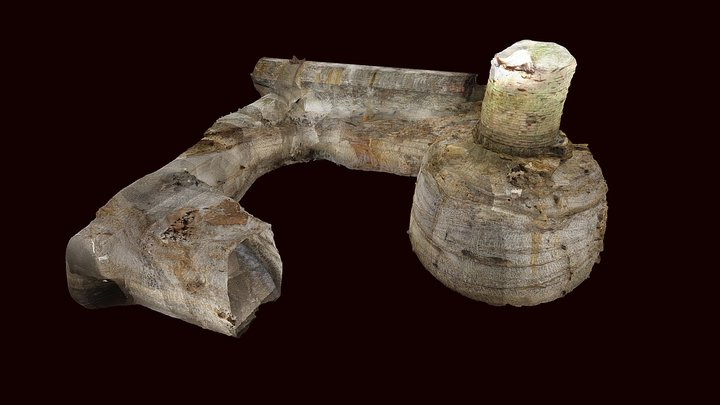 Icehouse 3D models - Sketchfab