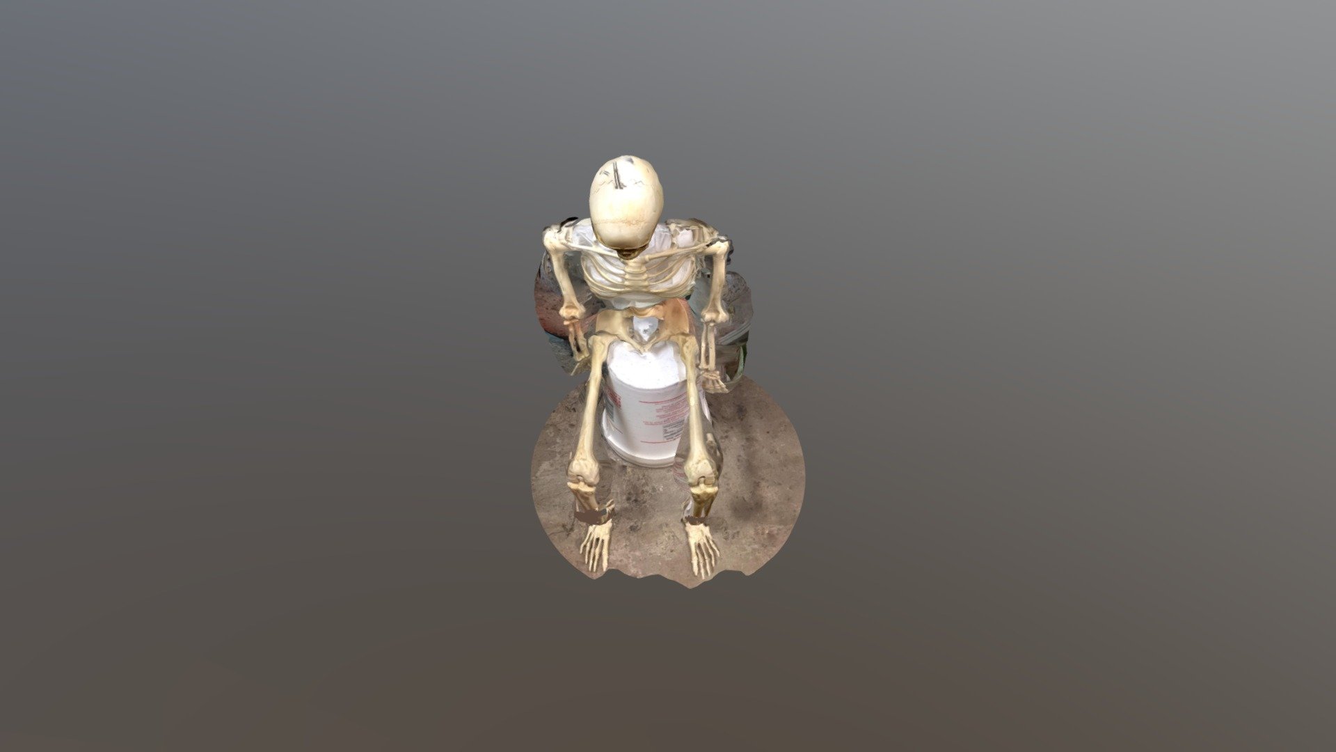 skeleton - 3D model by imaclach [cbba4d5] - Sketchfab