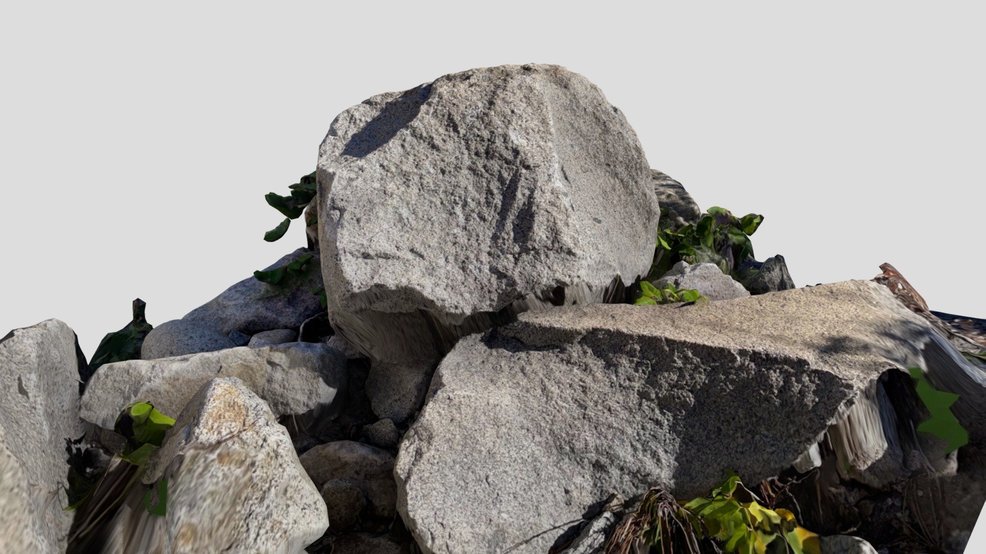river boulder granite - Download Free 3D model by California Academy of ...