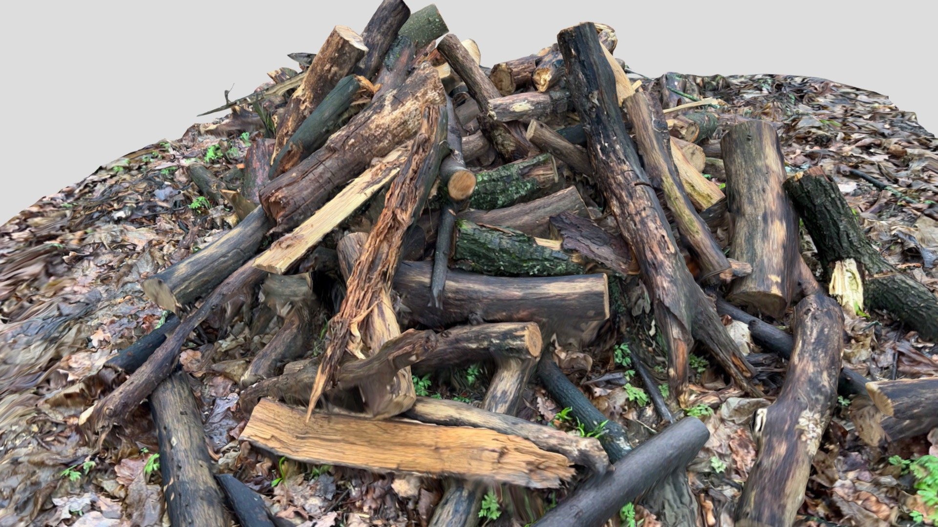 Firewood pile - Download Free 3D model by ScanMe [cbbbb3f] - Sketchfab