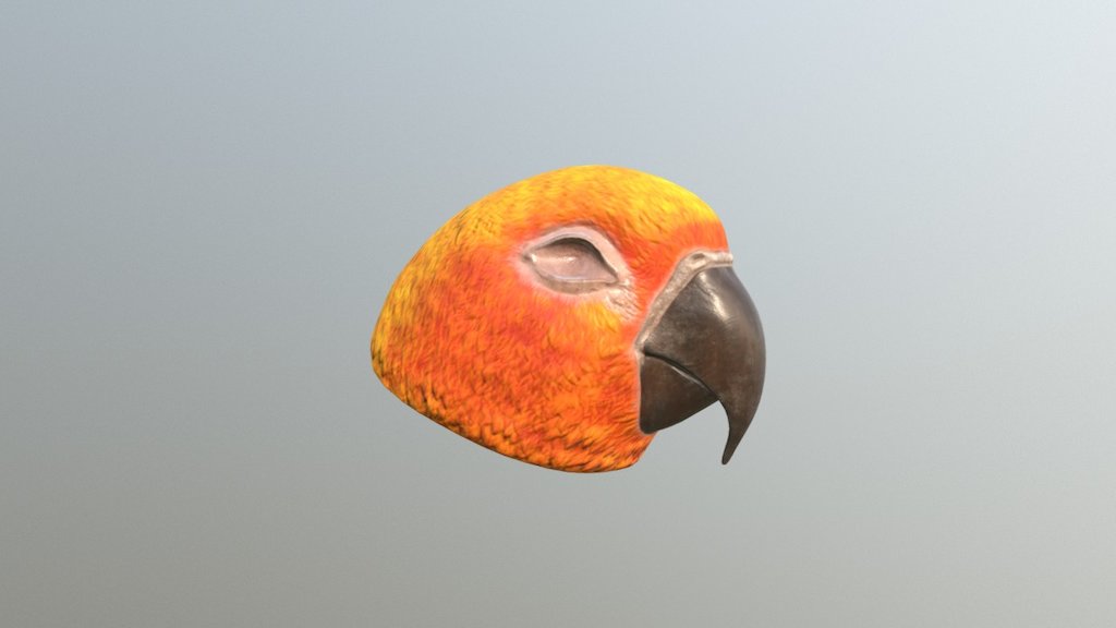 Parrot - 3D model by Aelis Ensergueix (@aelis_ensergueix) [cbc6df5 ...