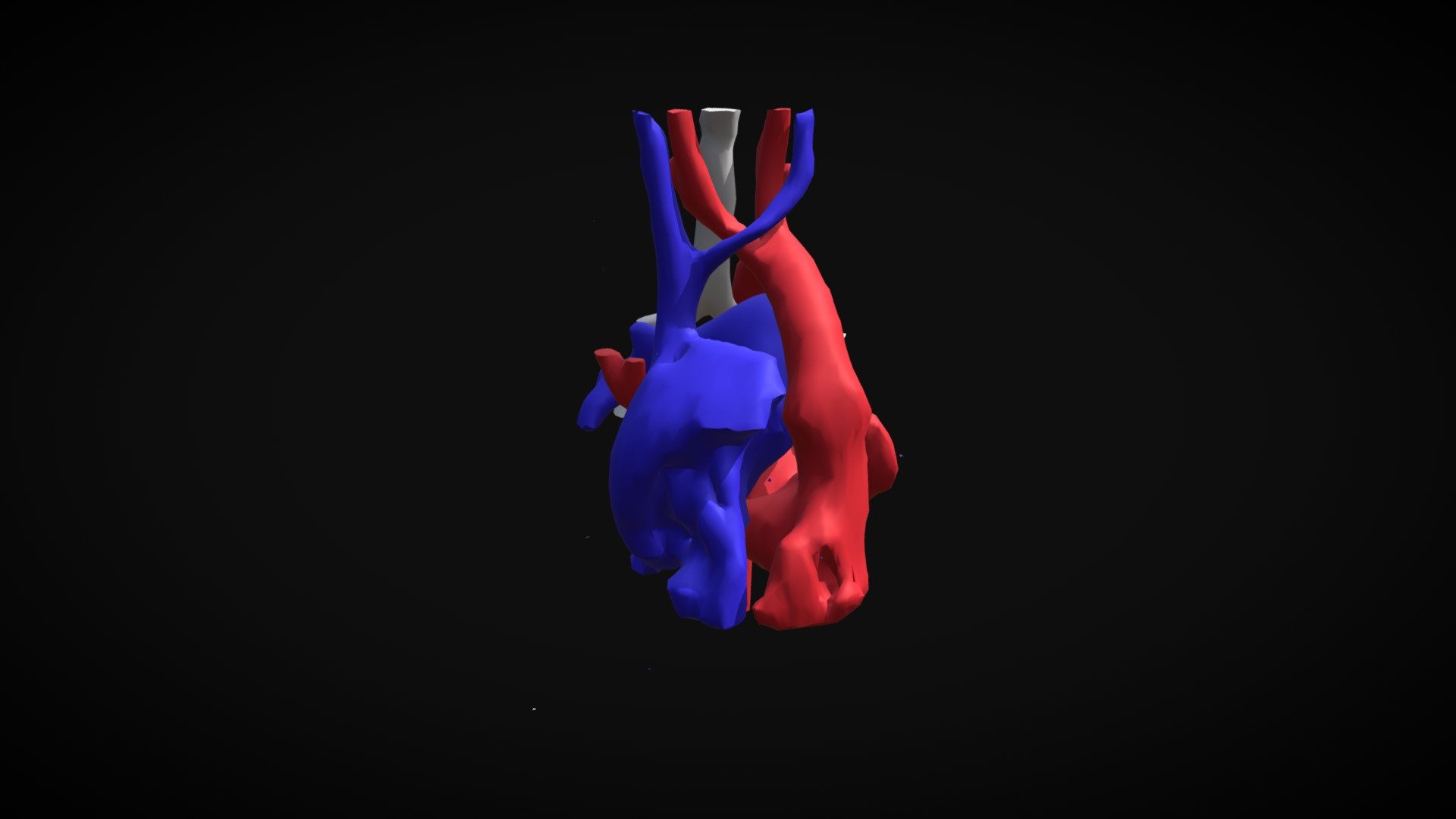 LTGA - 3D model by William Peters MD (@heartist) [cbd2c87] - Sketchfab
