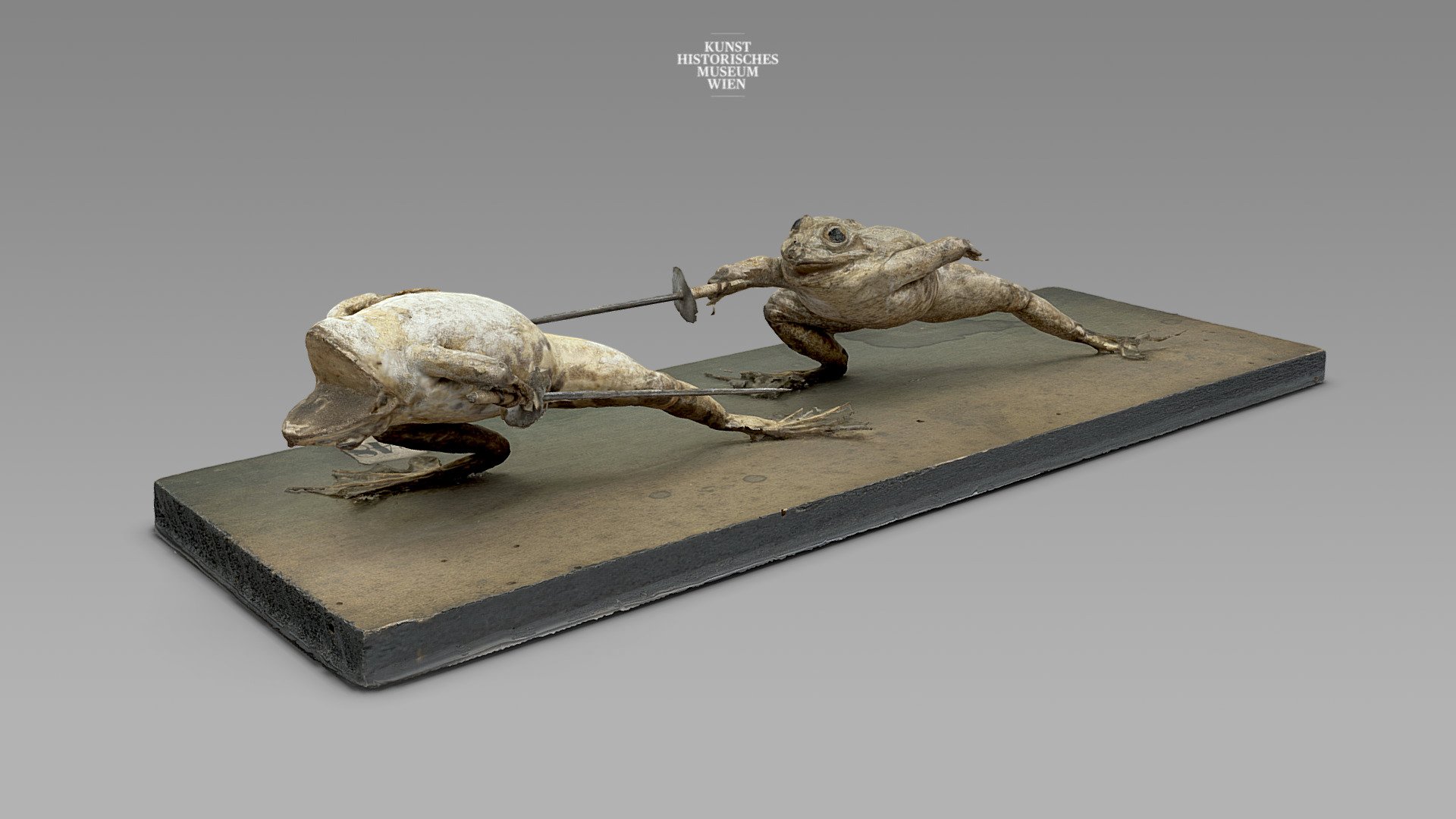 Fencing Frogs - 3D model by Kunsthistorisches Museum Wien ...