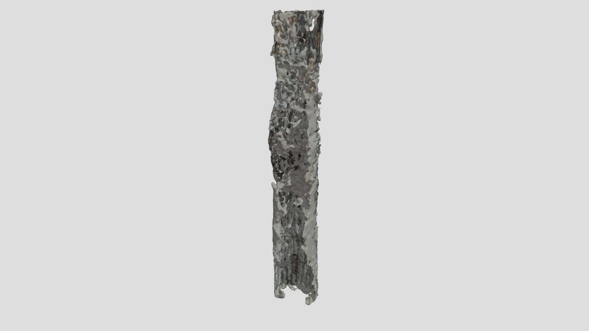 Dead Tree - 3D model by zachneven [cbd453d] - Sketchfab