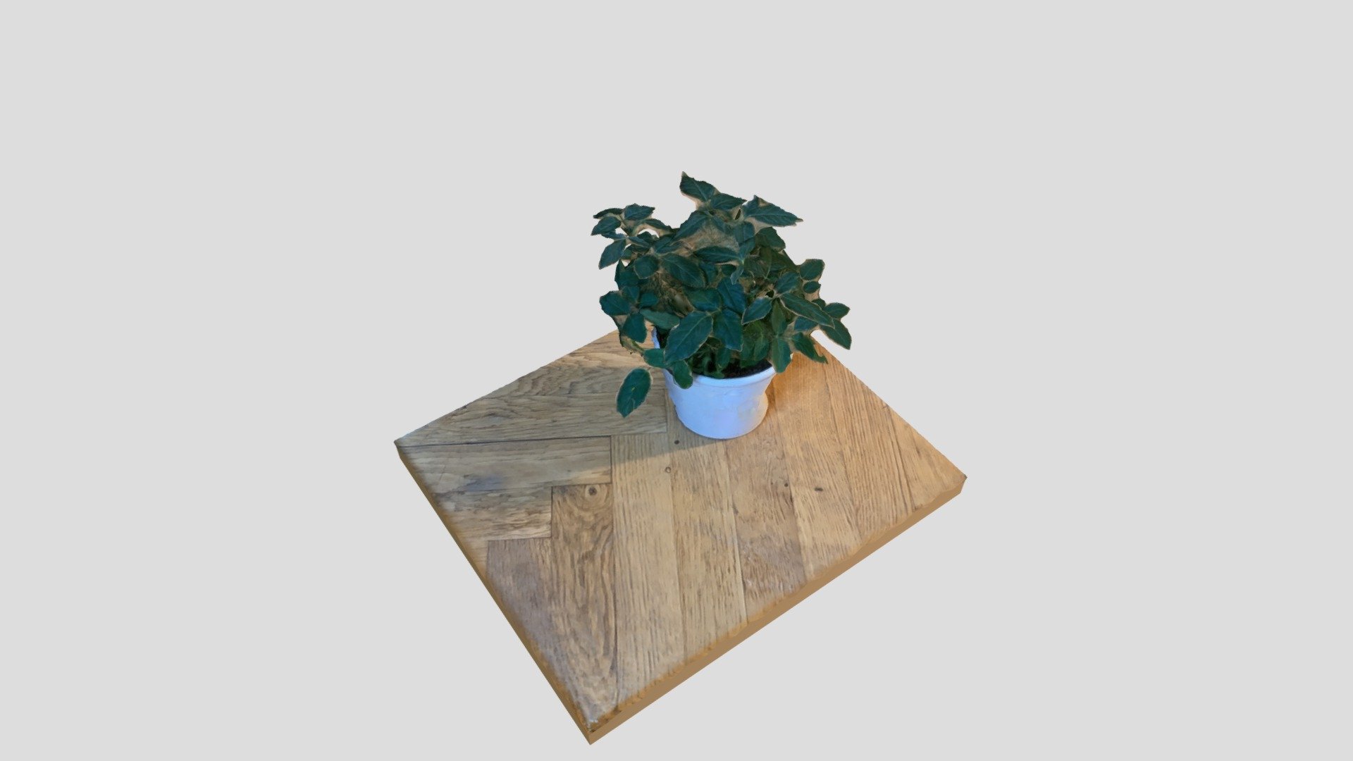 Flower scanned with Reality Scan app - No Lidar - Download Free 3D ...